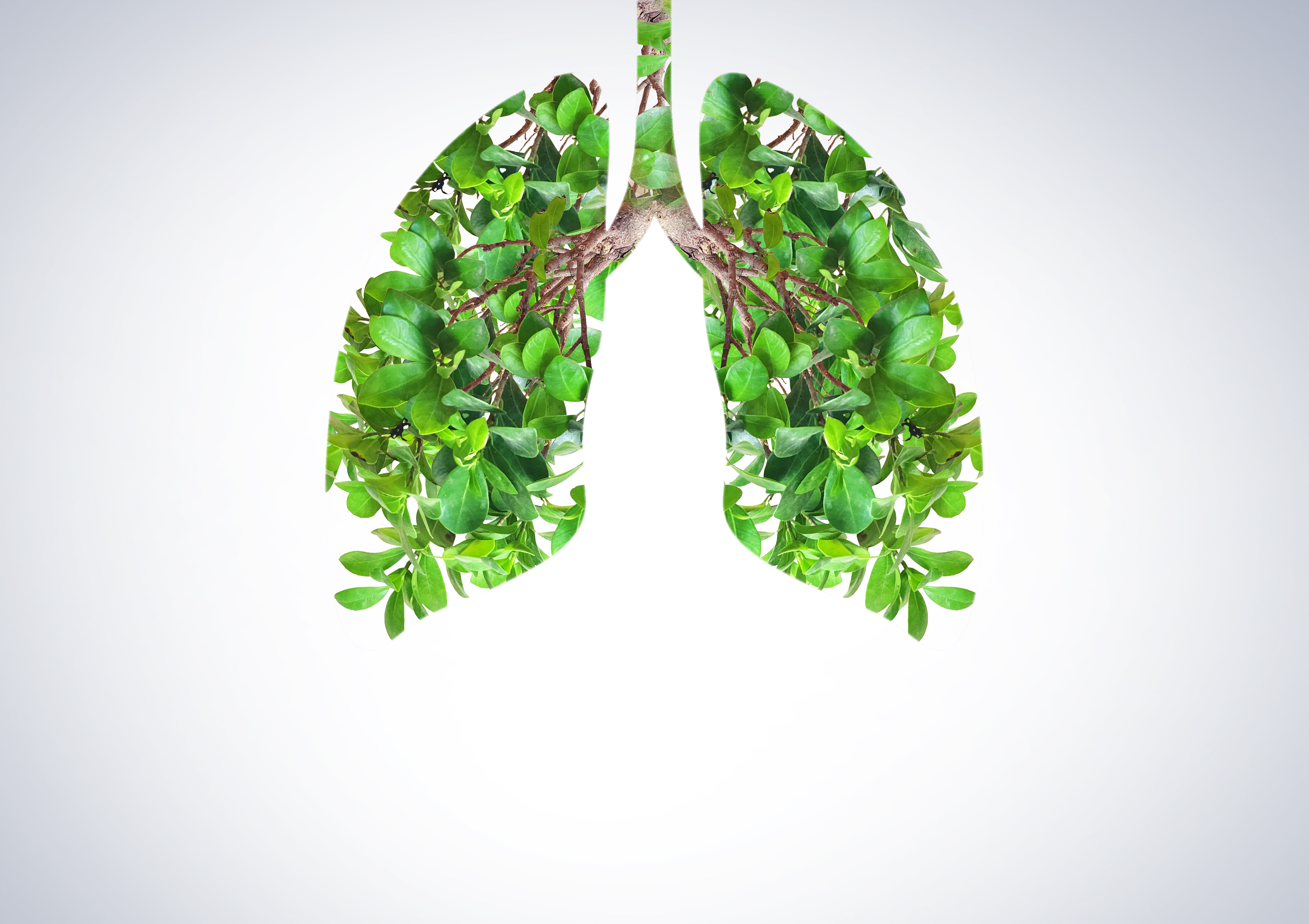 Programmes - Pages | Focusing on areas that impact respiratory health